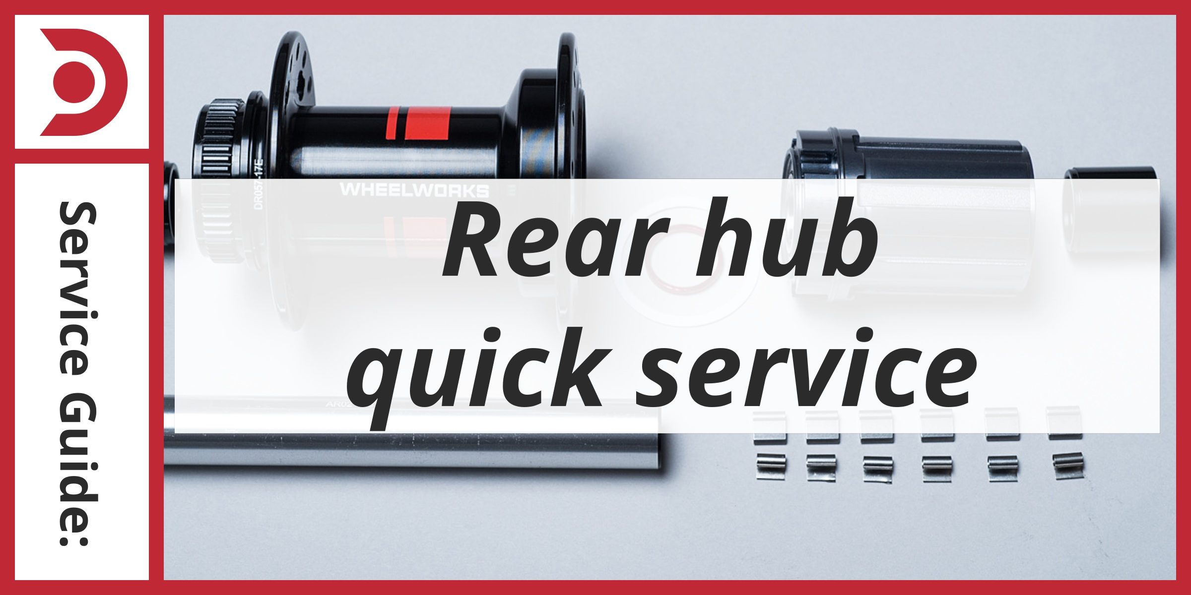 Service Guide: Rear hub quick service - Dial.bike